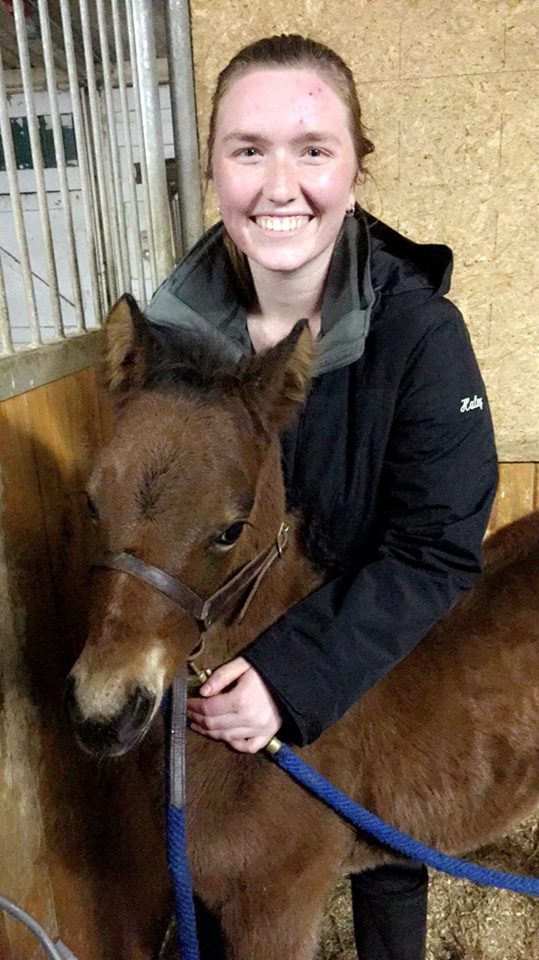 Equine Veterinarians in Plympton, MA | South Shore Equine Clinic